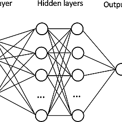 Structure of an MLP model with two hidden layers, and one output.