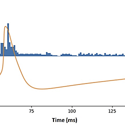 Number of integration steps required when using a variable time step ...