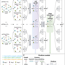 An overview of MGAE-DC.