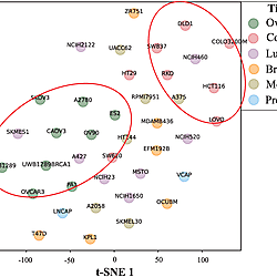 Visualization of drug Zolinza cell line-specific embeddings in 2 ...