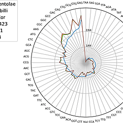 Codon usage plot.