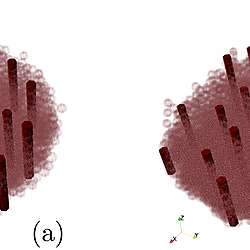 Random initial position.