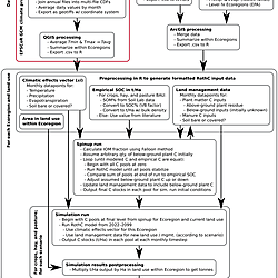 Data processing and model structure flowchart.
