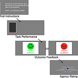 Self-agency task (SAT) schematic.