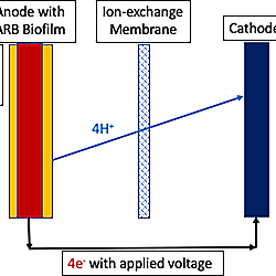 Simplified schematic of a microbial electrolysis cell (MEC).