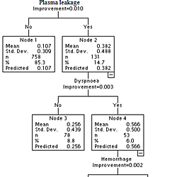 The patterns of clinical symptoms for developing severe dengue in ...