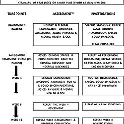 Study flow diagram showing study events and timelines.