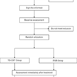 Study design flowchart.