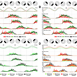 Force/EMG pattern during MP-tests depends on endurance performance level.