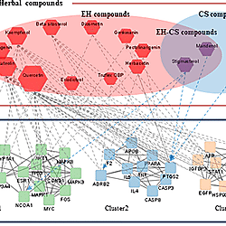 Visualization of the compound-target network of EH-CS.