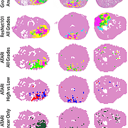 Example annotated slides.