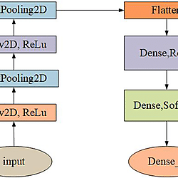 CNN model network structure.