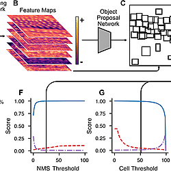 Schematized overview of Faster R-CNN image detection backend.