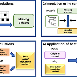 Workflow of the real data-driven simulation strategy.