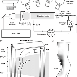 Model geometry and tomographic particle image velocimetry (TPIV) setup.