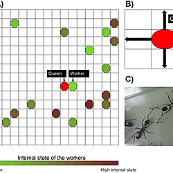 Schematic picture of the simulation environment.