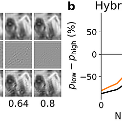 Probing frequency sensitivity of mouse regularized model using hybrid ...