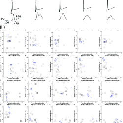 Visual electrophysiology.