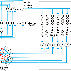 Detailed view on the computational model.