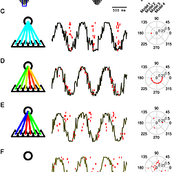 Illustration of GPLA on simple simulations.