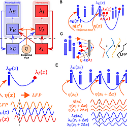 Generative model of spike-LFP coupling.