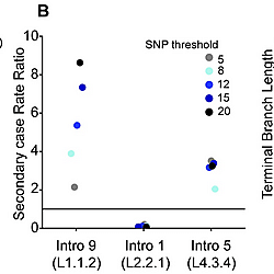 Transmission analysis using three different approaches.