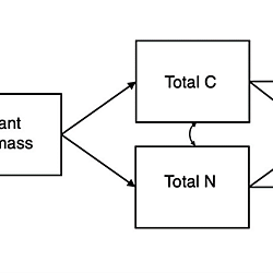 A priori model used for structural equation models.
