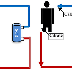 Schematic of extracorporeal blood circuits integrating SCD in canine ...