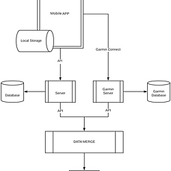 The data collection architecture of the Garmin wearable and the mobile app.