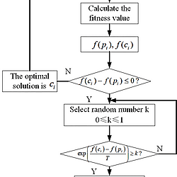 Simulated annealing operation flow.