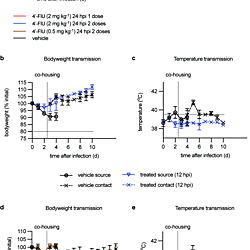 Clinical signs in 4’-FlU treated ferrets.