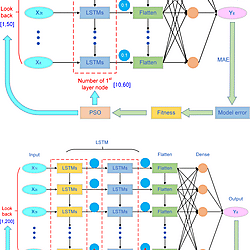 The framework of the two PSO-LSTM models.