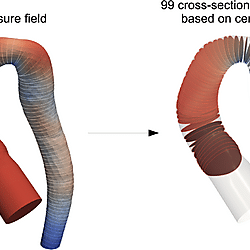 CFD gradient extraction method.