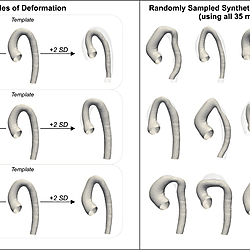Modes of deformation.