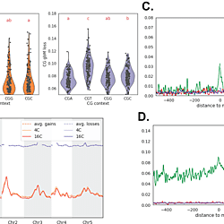 Patterns of somatic deviations.