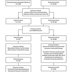 Flowchart of the inclusion process.