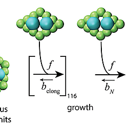 Schematics of the two assembly pathway models.