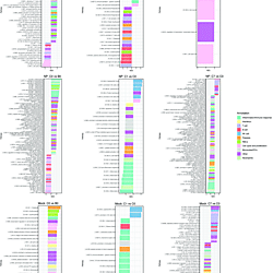 Gene set enrichment analysis (GSEA) in each sample group over time ...