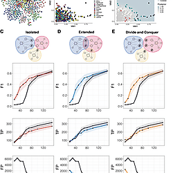 Module Constraints and Simulations.