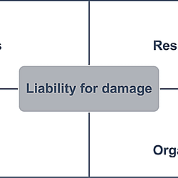 The conceptual framework of factors for liability for damages.