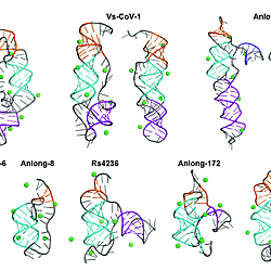 Initial Mg2+ ion positions in MD simulations.