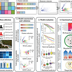 The workflow of the reversed graph embedding and this study.