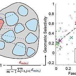Validation of detailed and simplified computational models.