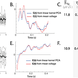 An illustration of calculating the canonical shape from linear kernel ...