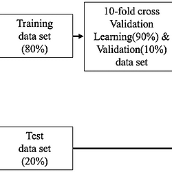 The flow chart of model development and the validation process.