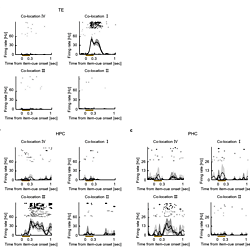 Example neurons showing the item-cue selective activities during the ...