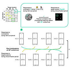 A schematic illustration of RSA.