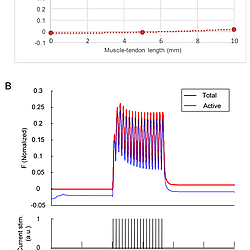 Impact of passive parallel elastic elements on the sag behavior.