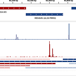 Example TSS peak visualization.
