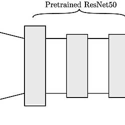 ResNet50 is modified by removing the final 2 layers and replacing them ...